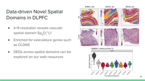 Single Cell And Spatial Transcriptomics In The Postmortem Brain Speaker Deck