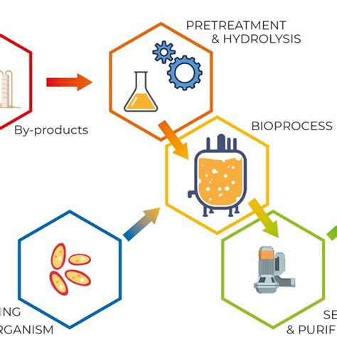 Microbial Protein Production Process Download Scientific Diagram