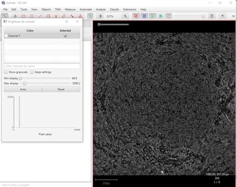 Qupath And Multiplex Composite Channels Image Analysis Image Sc Forum