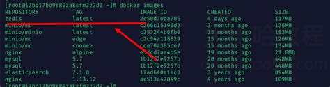 docker 删除镜像 犬小哈教程