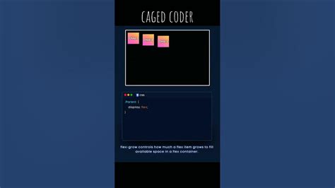 Flex Grow In Css Webdevelopment Html Html5css3 Html Htmlcss