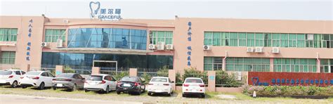 메탈 크라운 치아 크라운 틀니 치아 임플란트 우아한