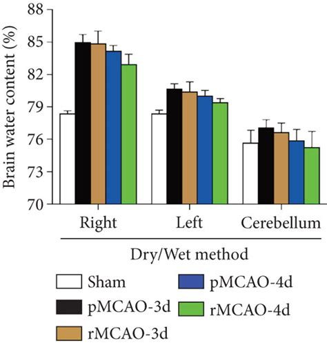 The Effects Of Delayed Recanalization On Hemorrhage And Edema Volumes Download Scientific