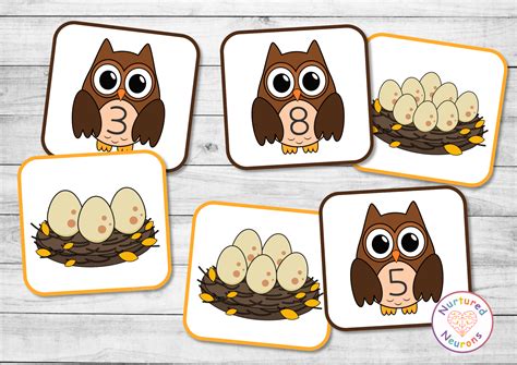 Count The Owl Eggs A Preschool Owl Counting Game Nurtured Neurons