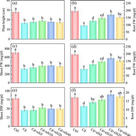 effects of exogenous nsio2 on photosynthesis parameters of barley