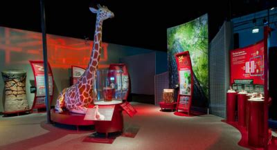 New Witte Exhibition Gives Visitors An Inside Look At The Machinery Of
