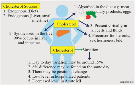 Cholesterol Serum Cholesterol