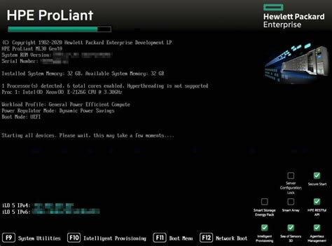 Hpe Proliant Ml30 Gen10 伺服器 軟體式 S100i Sr Smart Array Raid 磁碟陣列建立磁碟陣列 Esafe360 越南資訊安全與網路弱電工程整合