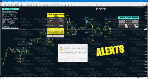 Oracle Scalper Manager