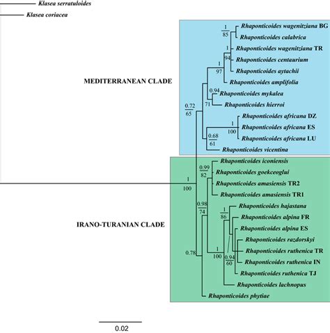 50 majority rule consensus tree obtained by bayesian analysis of the