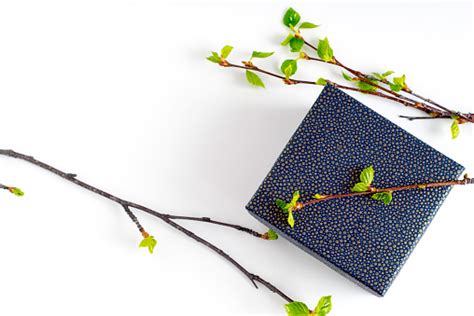 흰색 배경 측면 보기 디자인 텍스트 엽서 클로즈업 장소에 나뭇가지와 녹색 잎이있는 검은 선물 상자 0명에 대한 스톡 사진 및 기타 이미지 Istock