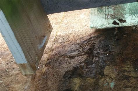 Deck Ledger Boards 101 Complete Building Solutions