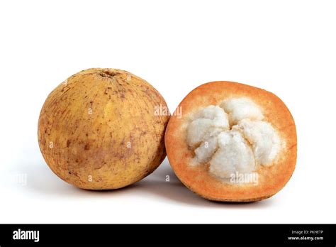 Santol Fruit In English