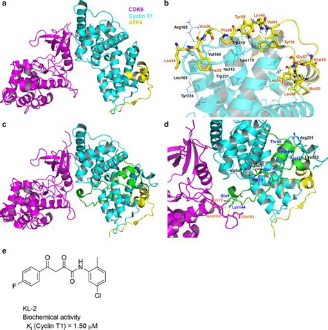 X Ray Structures Of P Tefb In Complex With Aff4 And The Structure Of
