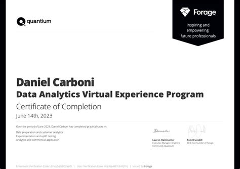 Quantium Pythonprogramming Businessanalyst Businessanalytics Internship Experience