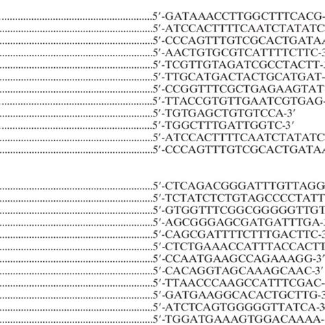 Primers Used In This Study Primer Use And Primer Name A Sequence