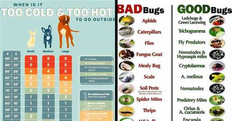 22 Interesting Charts And Graphs To Make Learning Fun