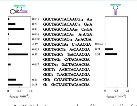 Figure 2 From Split Locations And Secondary Structures Of A Dnazyme Critical To Binding