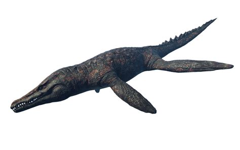 Liopleurodon By Draco Awesomeness On Deviantart