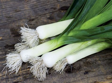 Best Expert Advice On Growing Leeks Suttons Gardening Grow How