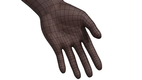 3d Australopithecus Afarensis Model Turbosquid 2314984