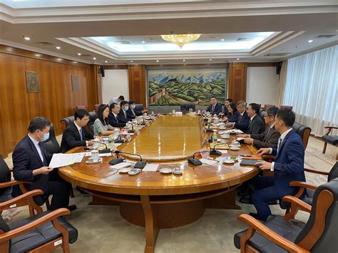 【ndrc Vice Chairman Yang Yinkai Met With President Of Temasek Lin Boon