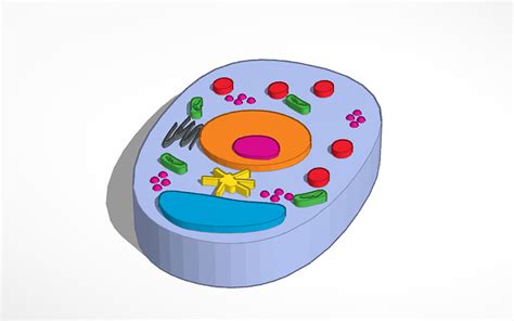 3d Design Plant Cell Tinkercad