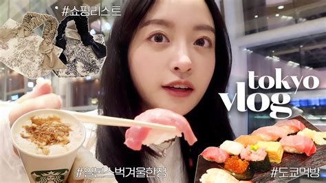 일본 Vlog 1박2일 도쿄 출장 가서 뷰맛집두 가구 돈키호테 키디랜드 털어왔어요 돈키호테 하울 2022년 마지막 인사