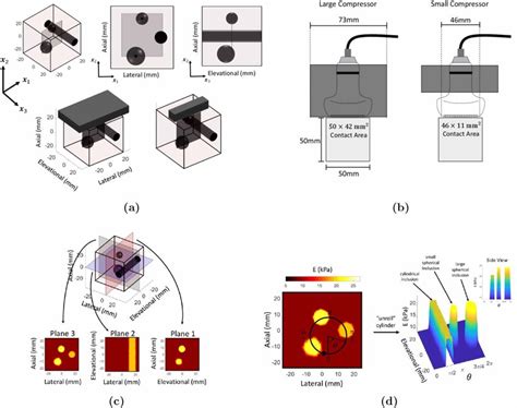 a geometry of the linear elastic gelatin phantom three stiff