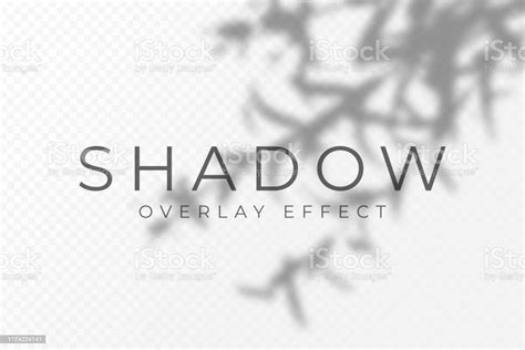 그림자 오버레이 효과 식물 가지 잎과 단풍에서 투명 한 부드러운 빛과 그림자 투명 한 그림자 오버레이 효과 와 자연 번개의 모형 그림자에 대한 스톡 벡터 아트 및 기타