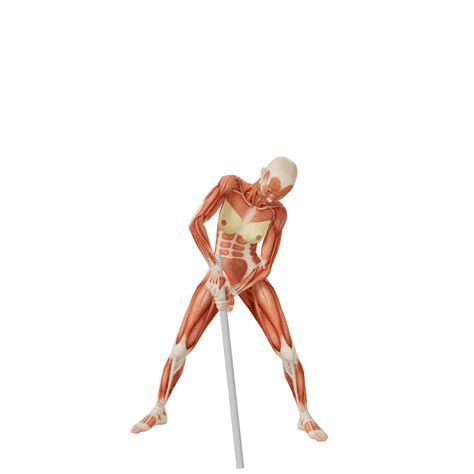 Fighting Unisex Poses Posemaniacs Royalty Free 3d Pose Reference For All Artists