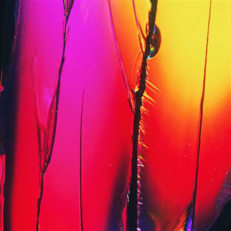 Typography Set Vi On Behance