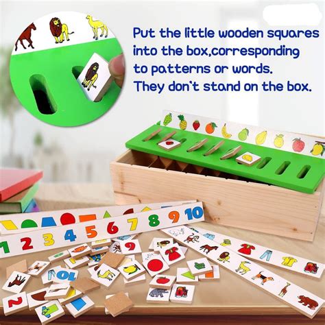 Buy Classification Sorting Box Learning Educational Activities On
