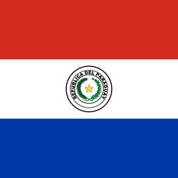 Paraguay Flag Vector Country Flags