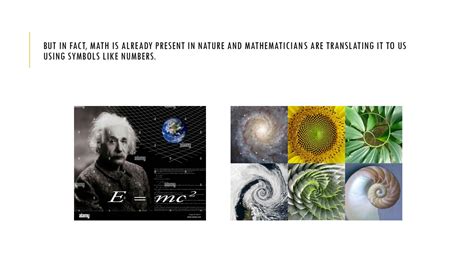 SOLUTION Fibonacci Sequence And The Golden Ratio Studypool