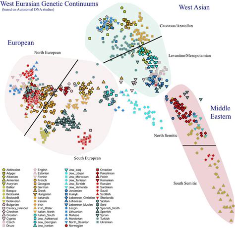 Human Genetic Clustering Blank Template Imgflip
