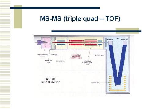 LCMS Lecture 7 LCMS LC Interface Mass Analyzer