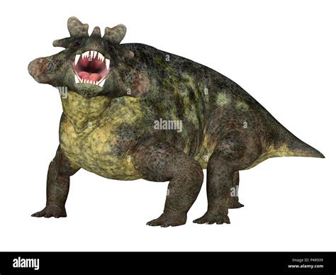 Permian Extinction