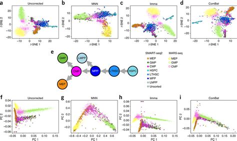T SNE Plots Of ScRNA Seq Count Data For Cells From The Hematopoietic Download Scientific