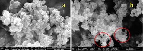 Fesem Image Of A Cus Stacked Plates And B Cus Au 3 On Cus Surface Download Scientific