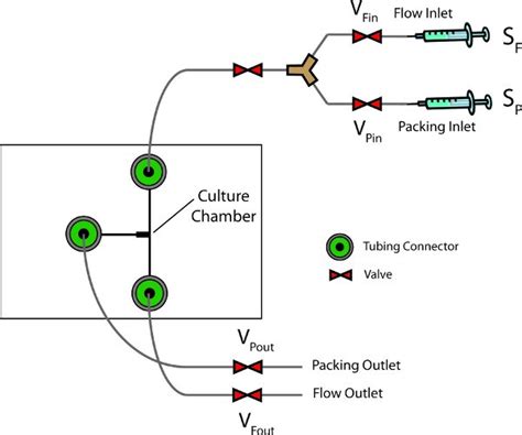 Microfluidic Device For Recreating A Tumor Microenvironment In Vitro
