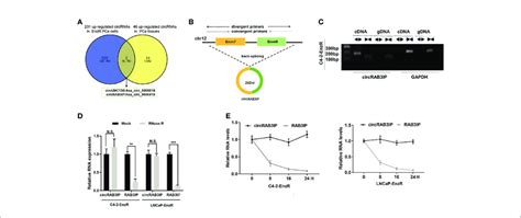 A Analysis Of Circrna Microarray Data Gse118959 From Enzr Pca
