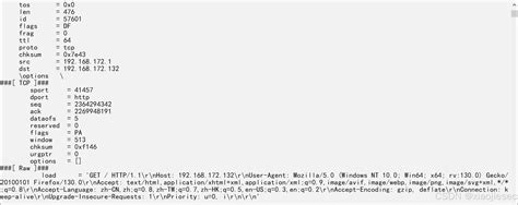 第160天：安全开发 Python 蓝队项目and流量攻击分析and文件动态监控andwebshell检测python 利用scapy 监控进程流量