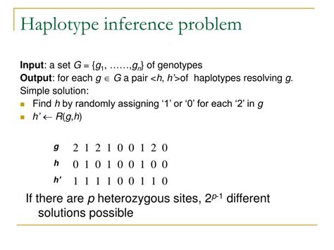 Ppt Computational Approaches To Haplotype Inference Powerpoint Presentation Id4006800