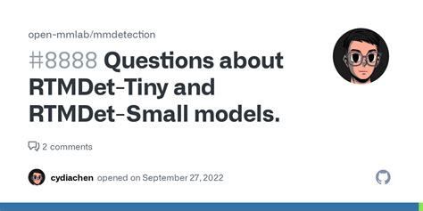 Questions About Rtmdet Tiny And Rtmdet Small Models · Issue 8888
