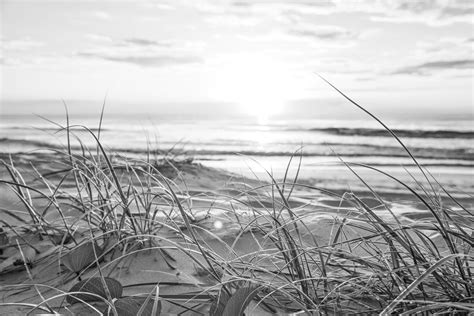 Case Management Queensland Positive People