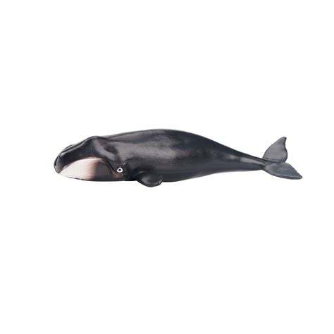 Toymany Bowhead Whale Realistic Animal Figurine Toy