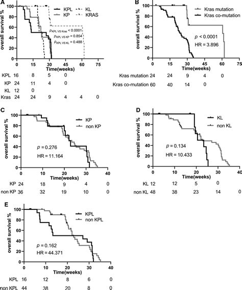 The Overall Survival Of Different Kras Co‐mutation Subtypes In Chinese