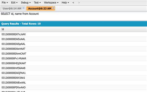 Open Salesforce Developer Console Google Chrome